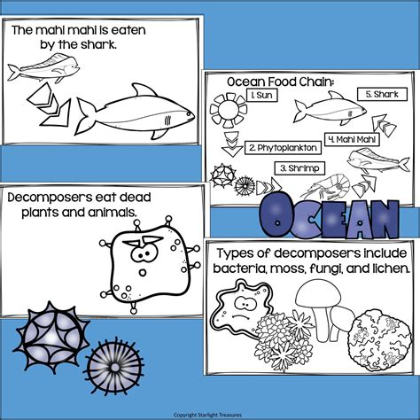 Ocean Ecosystem Producers Consumers Decomposers