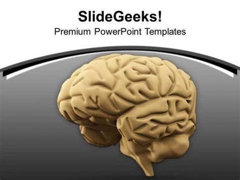 D Illustration Of A Human Brain PowerPoint Templates Ppt Backgrounds For Slides