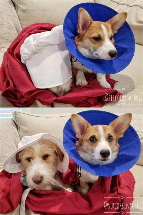 The Handmaids Tails Scrolller