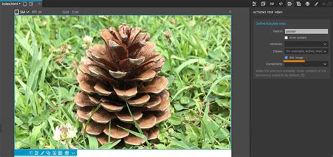 Pinegrow Cms For Static Html Websites Pinegrow Web Editor
