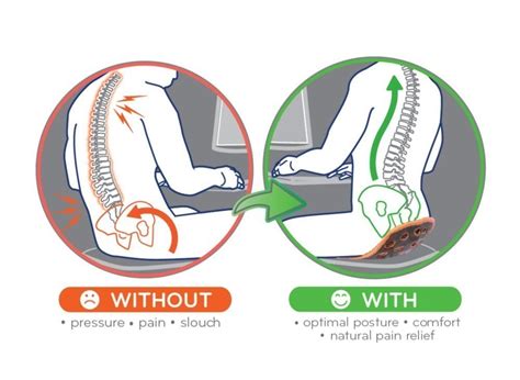 Backjoy Posture Plus Blue Hedys