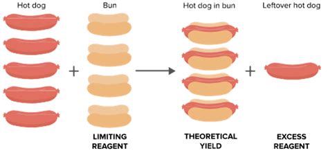Limiting Reagents Hsc Year 11 Chemistry Science Ready