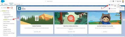 How To Find Your Salesforce Organization Id