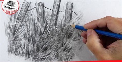 25 Easy Grass Drawing Ideas How To Draw Grass Blitsy