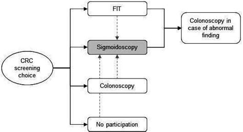 Additional Offer Of Sigmoidoscopy In Colorectal Cancer Screening In Germany Rationale And