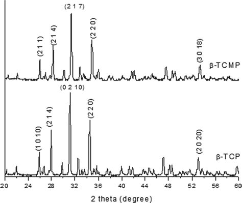 X Ray Diffraction Xrd Patterns Of Tricalcium Phosphate β Tcp