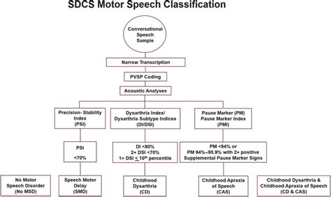 Figure B1 Summary Of The Procedure Used By The Speech Disorders