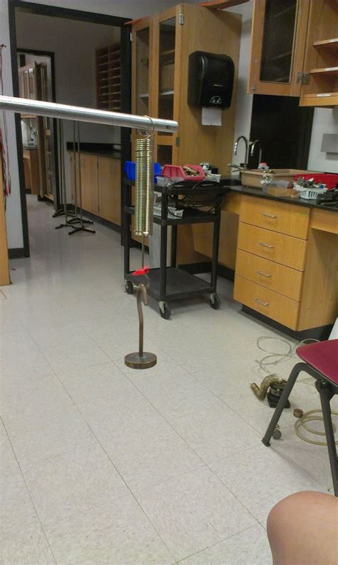 Phys AF Pfmacias Mass Spring Oscillations Lab