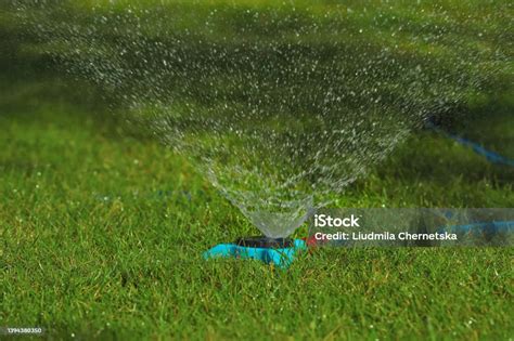 야외에서 녹색 잔디에 물을 뿌리는 자동 스프링클러 관개 시스템 물 주기에 대한 스톡 사진 및 기타 이미지 물 주기 잔디 0명 Istock