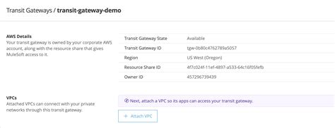 Transit Gateway With Anypoint Platform