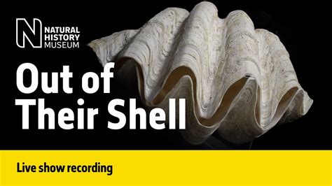 What Are Bivalves And Why Are They Brilliant Live Talk With Nhm