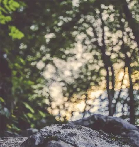 메디톨드 악시크림 가격 및 성분 분석 아트