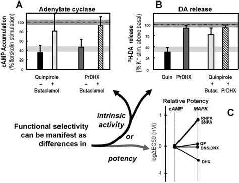 Functional Selectivity Can Be Expressed As Differences In Intrinsic