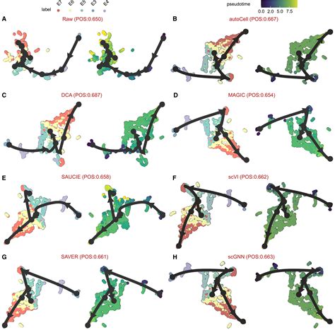 Graph Embedding And Gaussian Mixture Variational Autoencoder Network