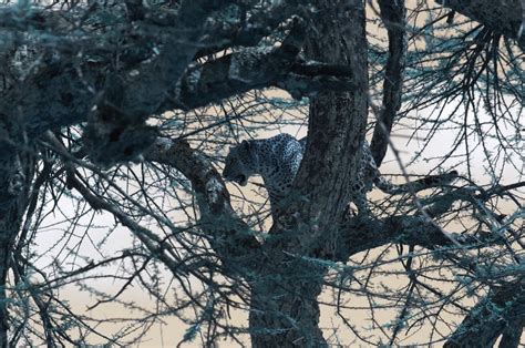 Map And Compass Tours Outdoor Photographer