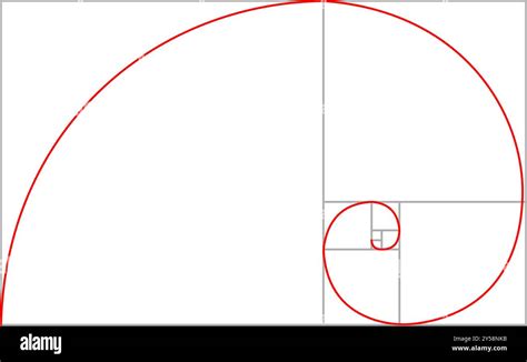 golden spiral fibonacci spiral golden ratio stock vector image and art