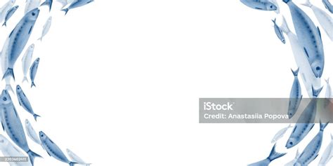 반원형 프레임의 정어리 물고기는 생선 레스토랑 웹 사이트 포스터 수산 시장 및 상점에 대한 투명한 배경에 여울로 양식화 된 수채화 그림에서 수영합니다 건강한 생활방식에 대한