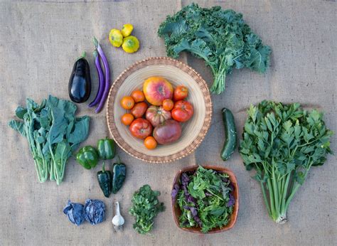 About — Mi Csa Network