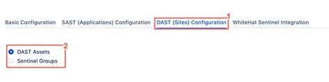 Dast Sites Configuration Continuous Dynamic Docs