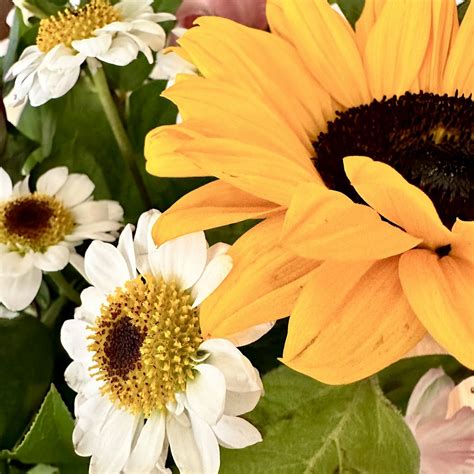 Untitled Jake Jacobson Flickr