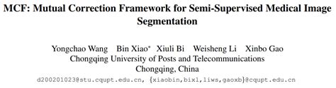 cvpr 2023 医学图像分割论文大盘点 csdn博客