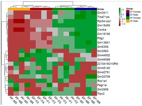 Sex Specific Whole Transcriptome Analysis In The Cerebral Cortex Of Fae