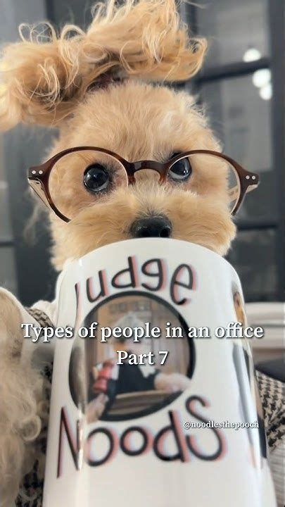 types of people in an office part 7 noodlesthepooch officehumor