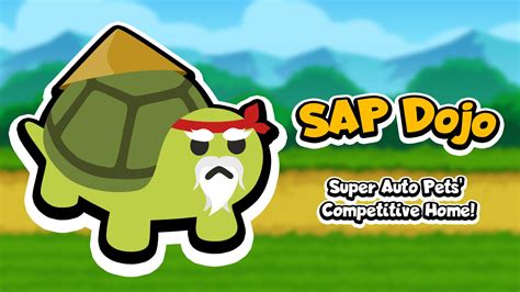 Sap Dojo Discord Servers