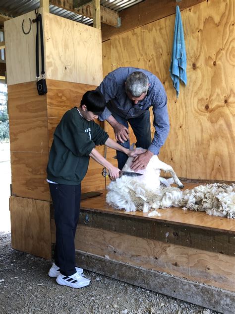 Welcome To Yubetsu Town Clair Sydney