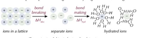 Enthalpies Of Solution Flashcards Quizlet