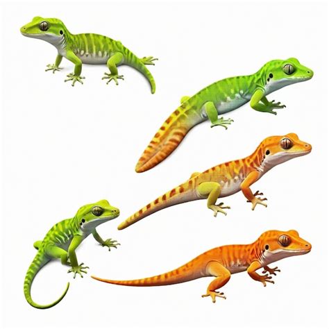 Three Different Colored Lizards One Green Orange And The Other With The