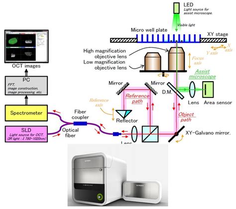 noninvasive 3d imaging using optical coherence tomography gen protocols
