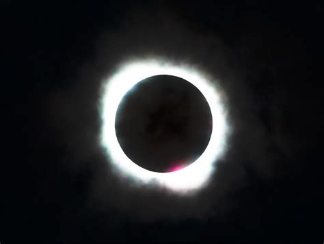 Dakota Casteel Posted On Linkedin