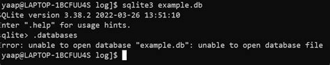 求救 wsl2 archlinux中eaf浏览器启动失败 emacs general emacs china