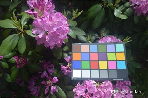 MATLAB 有关数值矩阵颜色图及颜色列表的技巧整理 知乎