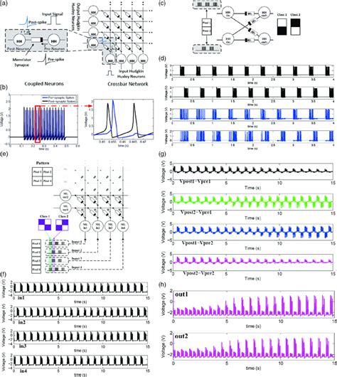 Simple Patterns Are Classified By Hh And Ml Memristive Neurons Download Scientific Diagram