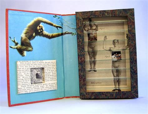 Altered Book Assemblage By Maine Artist Frank Turek Altered Book Art