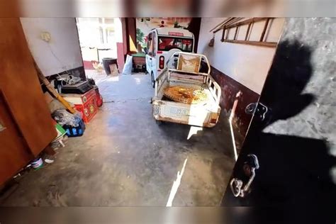 好久不见小白和大黄都长大了小白还是那么乖大黄还是那么傻 好久不见小白和大黄都长大了小白还是那么乖大黄还是那么傻