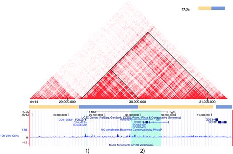 Topologically Associating Domains Within The 3 Mb Core Region This Download Scientific Diagram