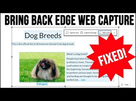 How To Enable The Web Select Feature In Microsoft Edge Online