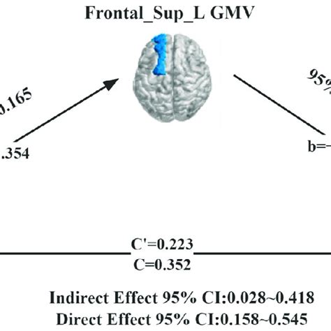 Mediating Effect Of Gmv Between Overweightobesity And Sc Download