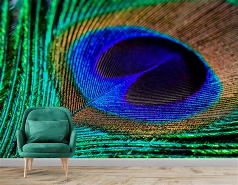 Top 999 Wallpaper Peacock Images Amazing Collection Wallpaper