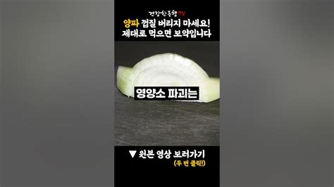 양파 보약이 되는 딱 3가지 방법 영양소 흡수 늘어나고 혈관 속 기름때 싹~ 녹여줍니다 양파효능 건강정보 건강요리 양파껍질 양파 Youtube