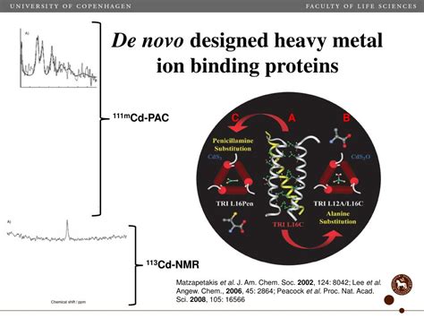 Ppt Biochemical Applications Of Perturbed Angular Correlation Of γ Rays Pac Spectroscopy