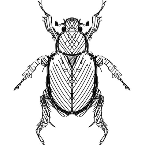 Shield Bug On Tumblr