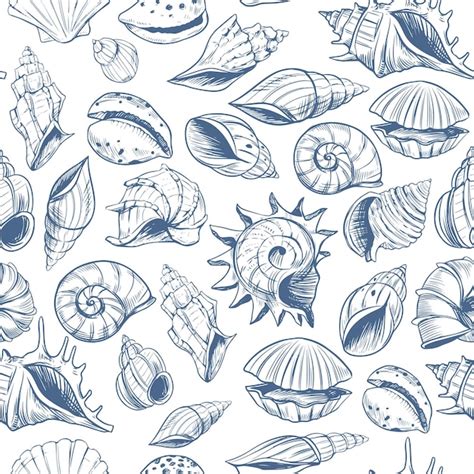 Drawing Of A Seashell