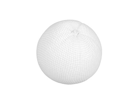 Highly Detailed Orange Scan 3d Model 149 Fbx Obj C4d Unknown Free3d