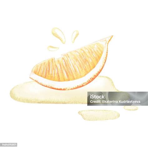 레몬 주스로 슬라이스하십시오 수채화 그림입니다 흰색 배경에 격리되어 있습니다 디자인 레시피 주방 용품 감귤산 또는 향이 첨가된 제품 포장 그릇 프린트 감귤류 과일에 대한