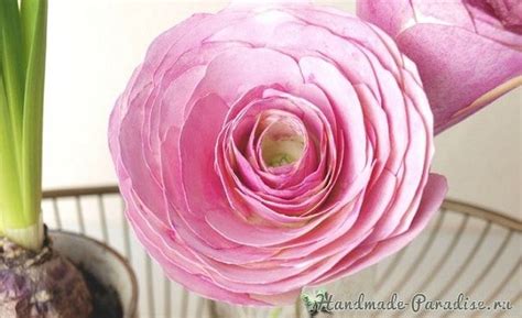 Ранункулюс садовый лютик из бумаги