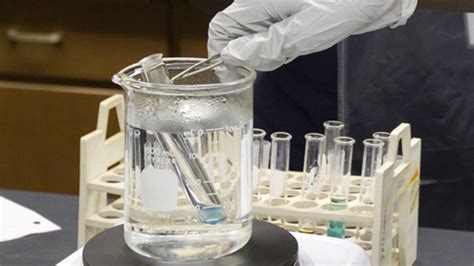 High Babe Babes Excel In Science At UMSL UMSL Daily